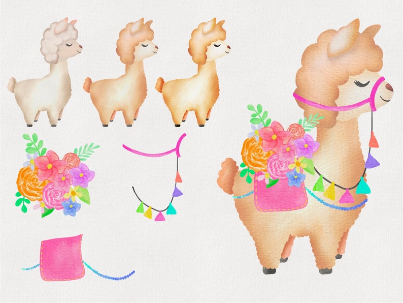 Rainbow Llama Clipart Bundle, Watercolor Llama Png, Alpacas Clip Art ...