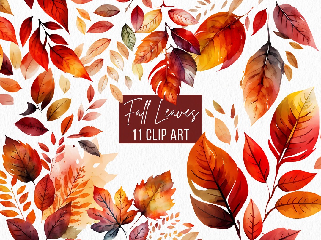 Fall Leaves Clip Art Bundle, Watercolor Autumn Leaf Png, Thanksgiving ...