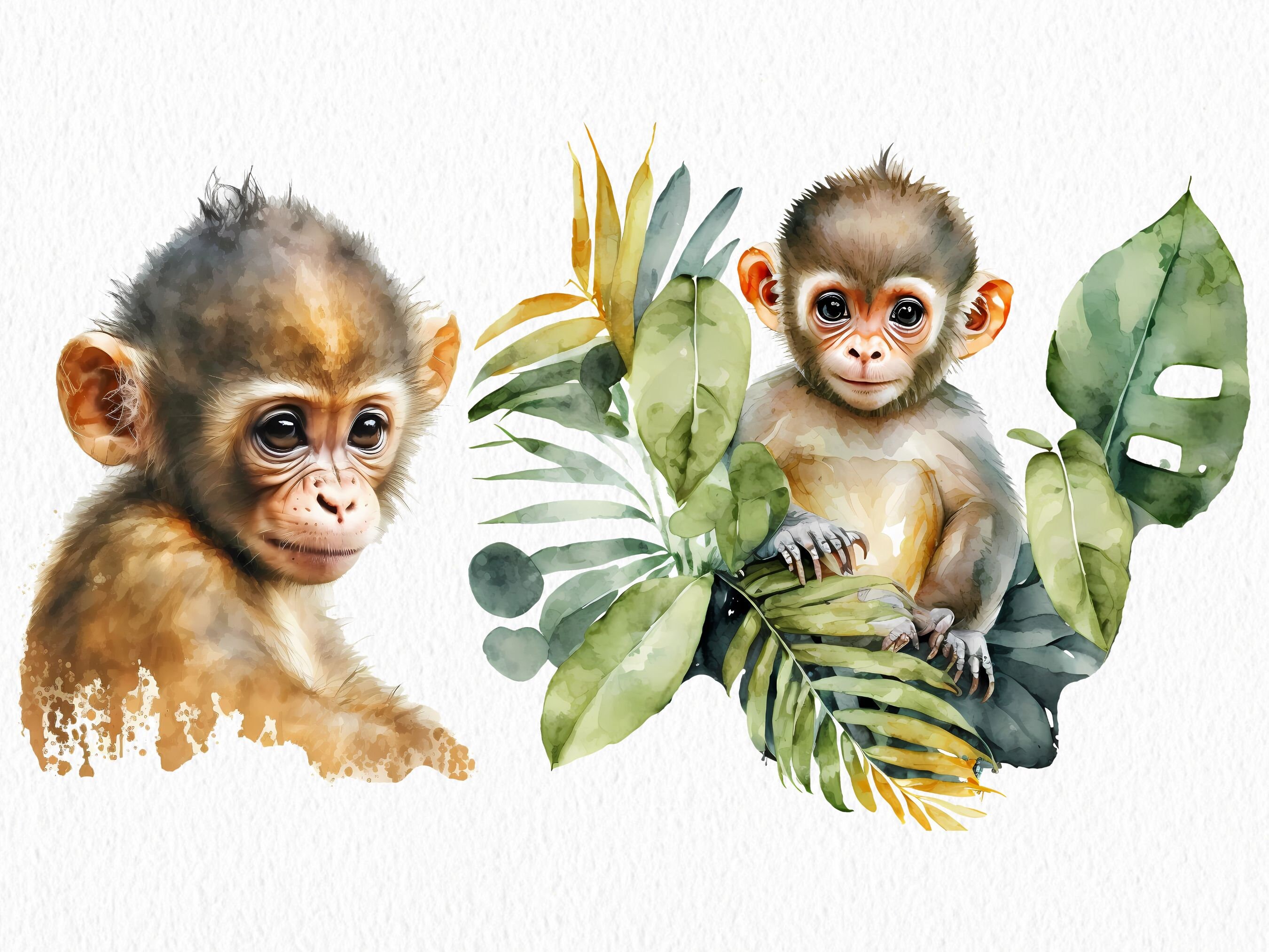 Watercolor Baby Monkeys Clipart Bundle, Cute Floral Monkey PNG Bundle ...