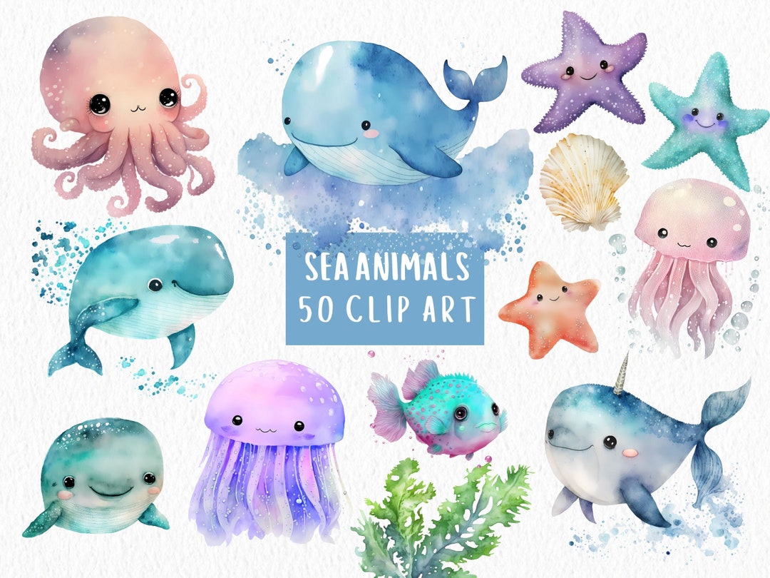 Watercolor Sea Animals Clipart Bundle, Whales Jellyfish and Starfish ...