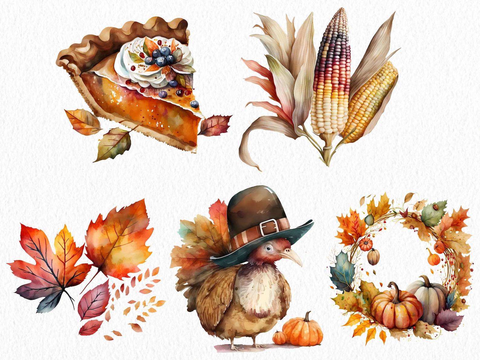 Thanksgiving Watercolor Clipart Fall Clipart Bundle Pumpkin - Etsy