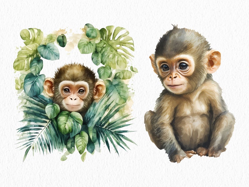 Watercolor Baby Monkeys Clipart Bundle, Cute Floral Monkey PNG Bundle ...