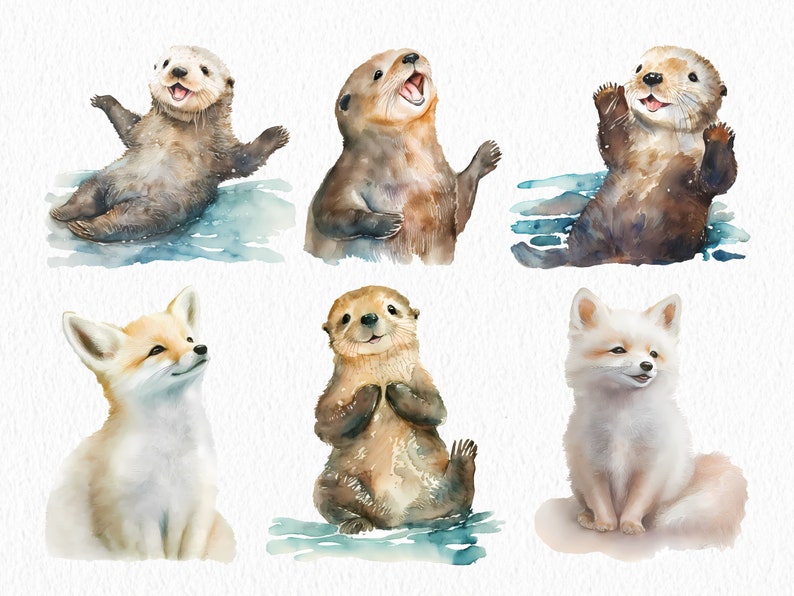 Arctic Animals Clipart Bundle Watercolor Seal PNG Bundle - Etsy
