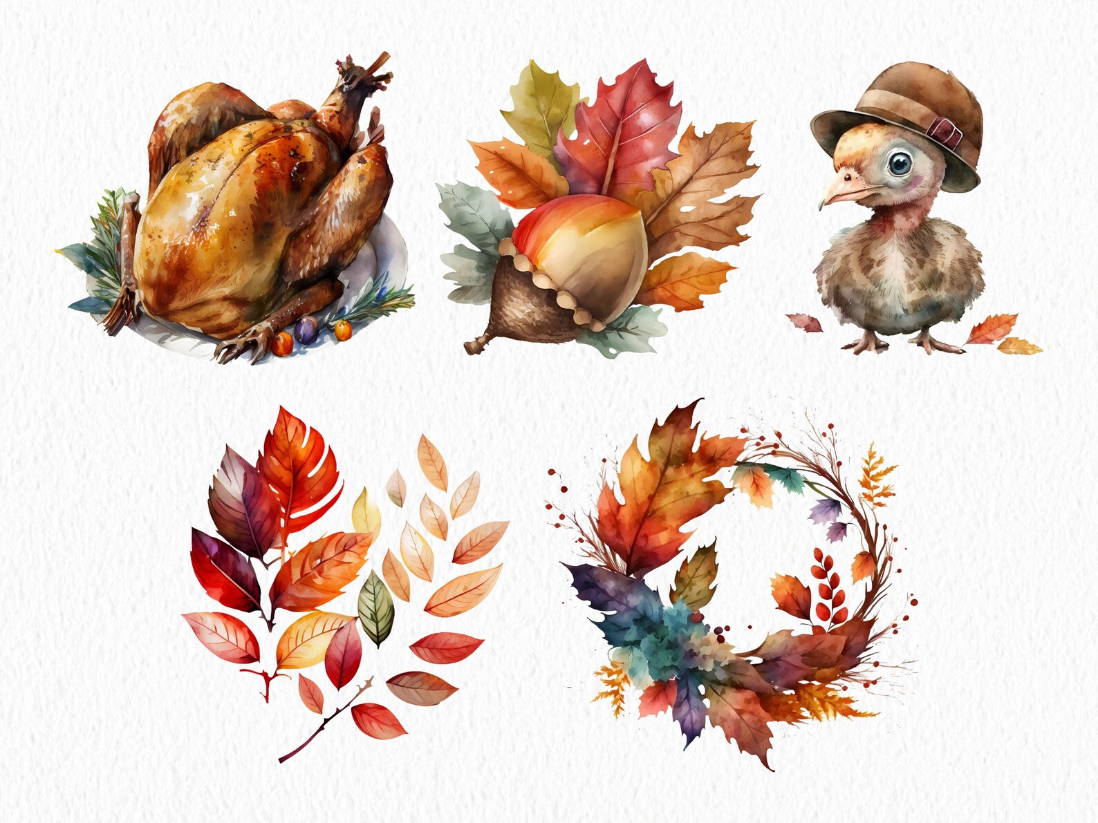Thanksgiving Watercolor Clipart Fall Clipart Bundle Pumpkin - Etsy