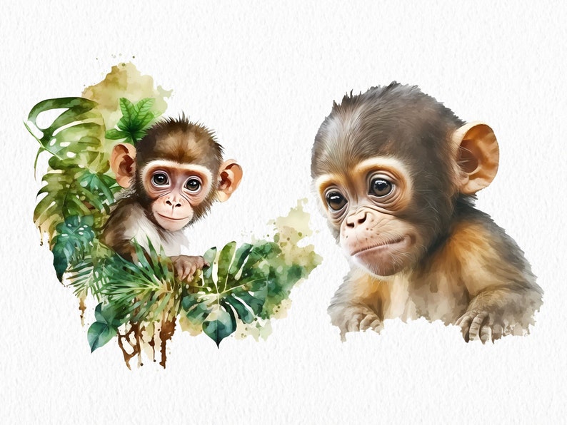 Watercolor Baby Monkeys Clipart Bundle, Cute Floral Monkey PNG Bundle ...