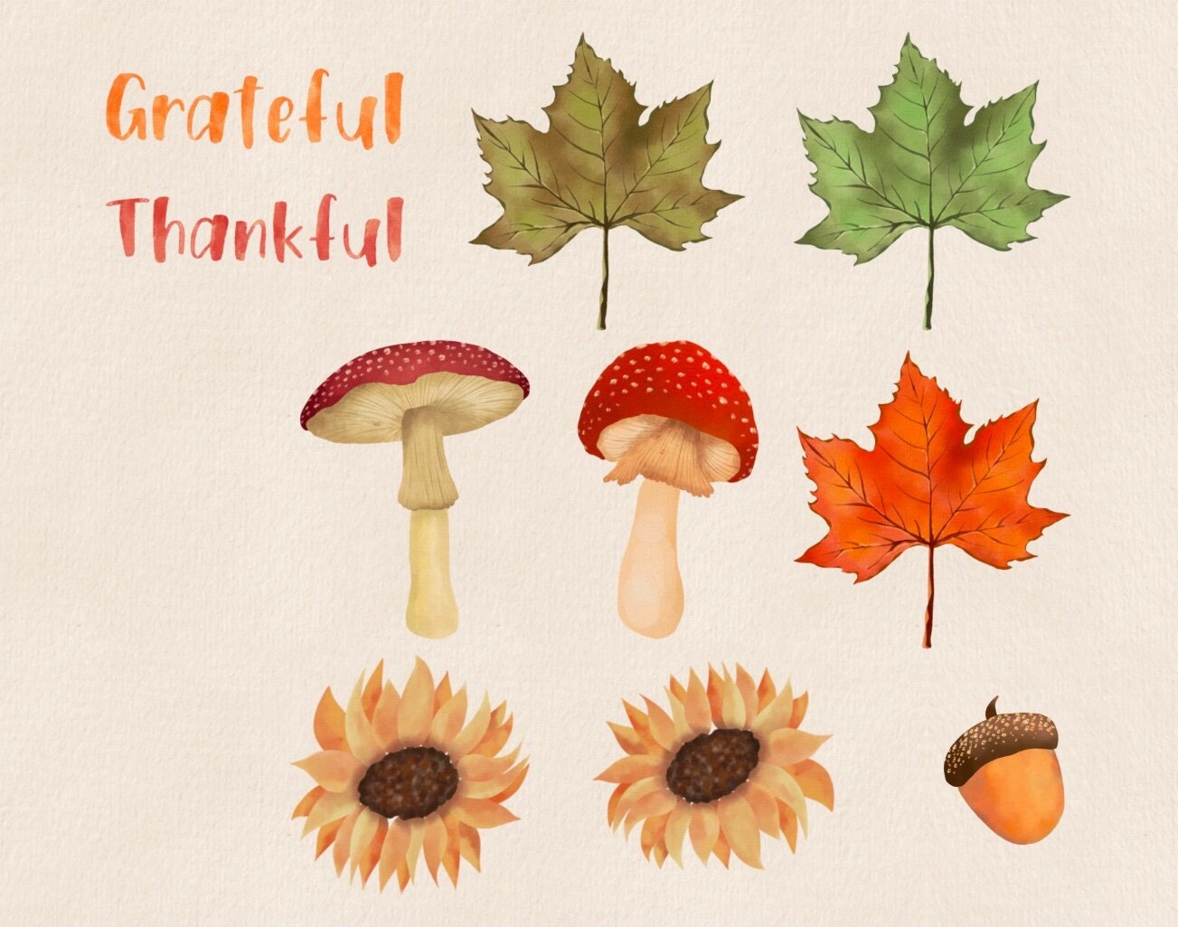 Watercolor Fall Elements Clip Art Bundle, Autumn Png, Thanksgiving ...