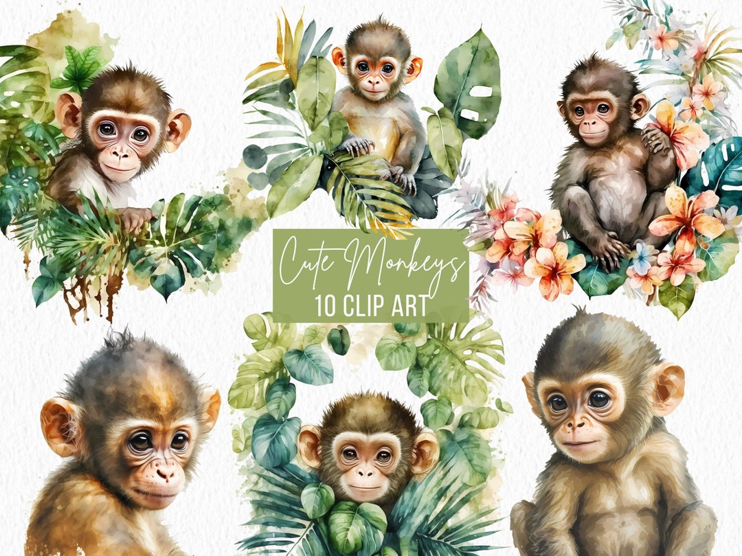 Watercolor Baby Monkeys Clipart Bundle, Cute Floral Monkey PNG Bundle ...
