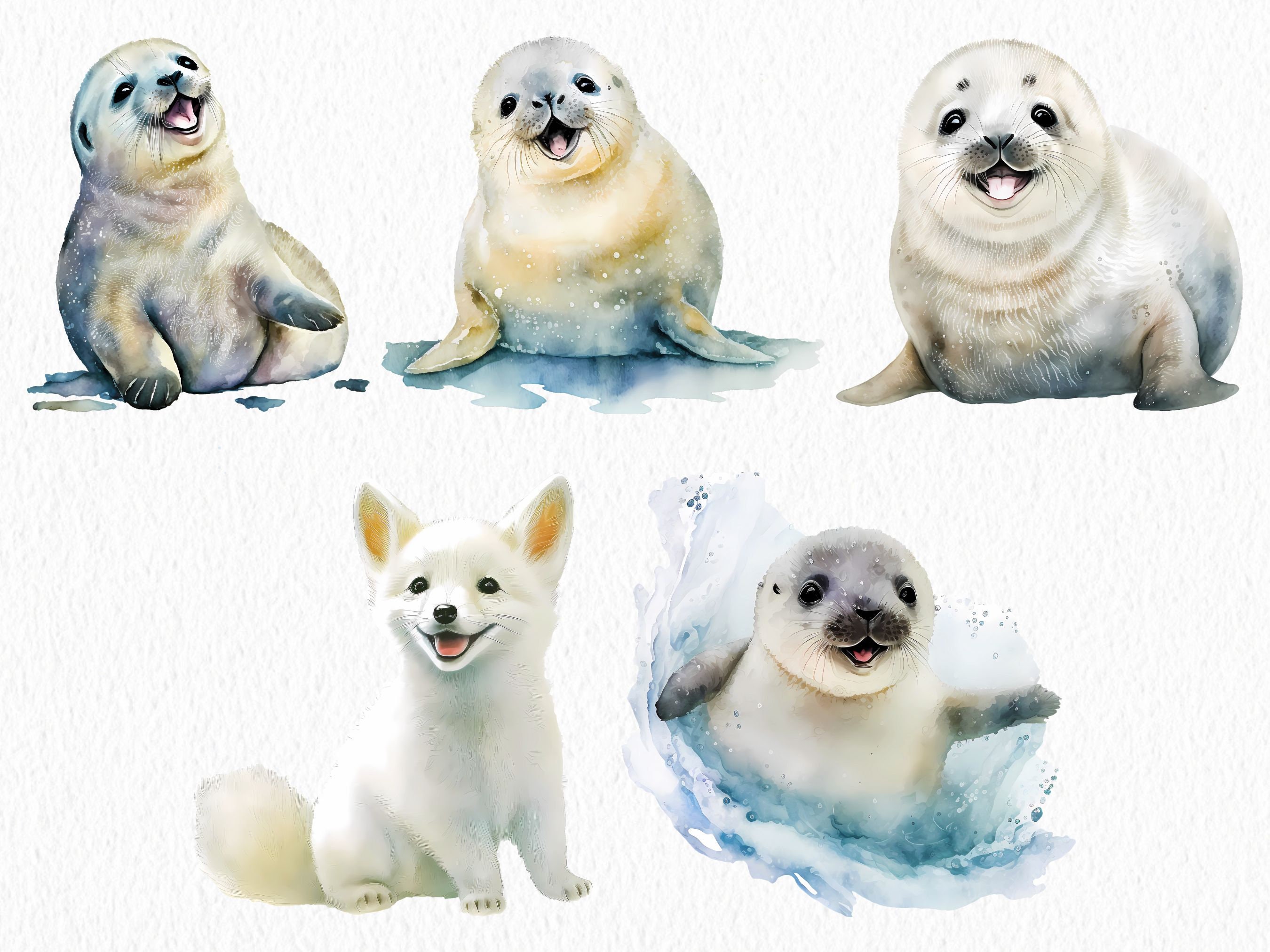 Arctic Animals Clipart Bundle Watercolor Seal PNG Bundle - Etsy
