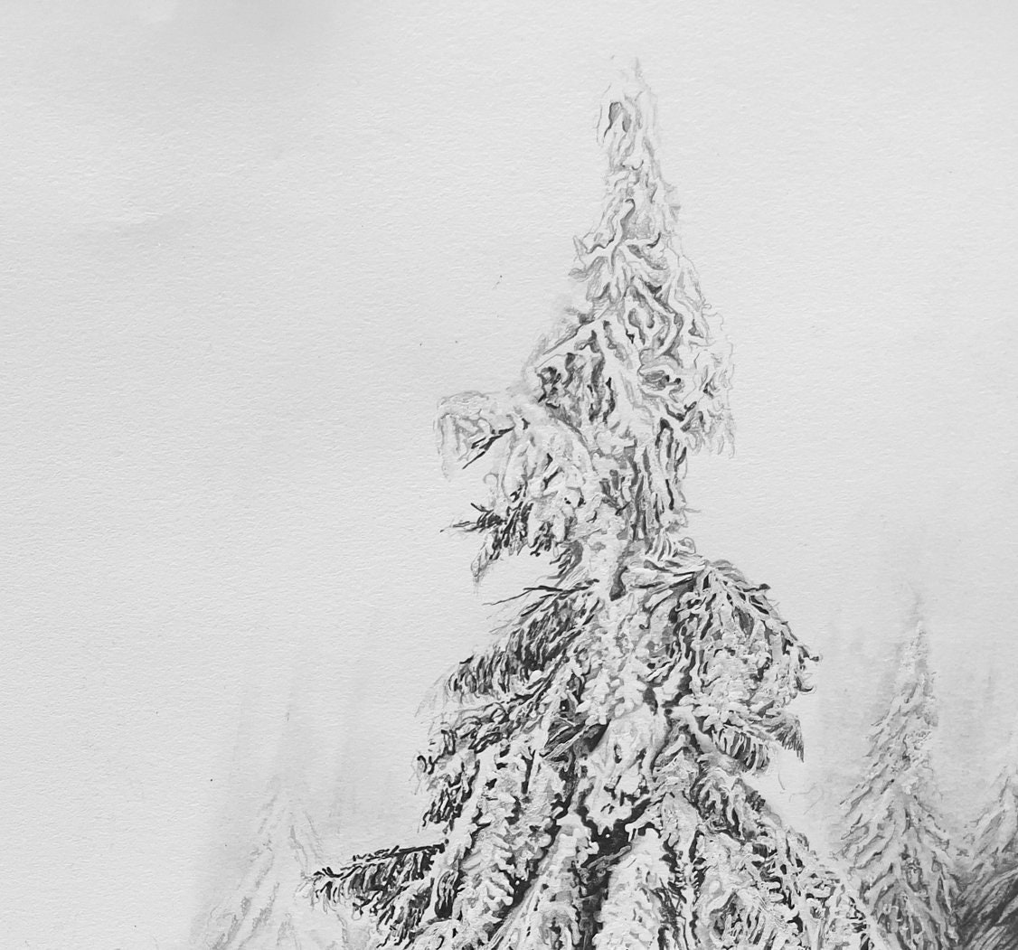 Graphite Landscape, Snowfall on Trees, Winter, Pencil Drawing, Wall ...