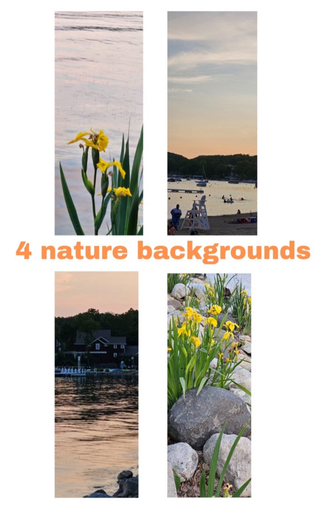 Nature Photography Backgrounds: Scrapbook Paper Tiles (PDF Download) - Etsy