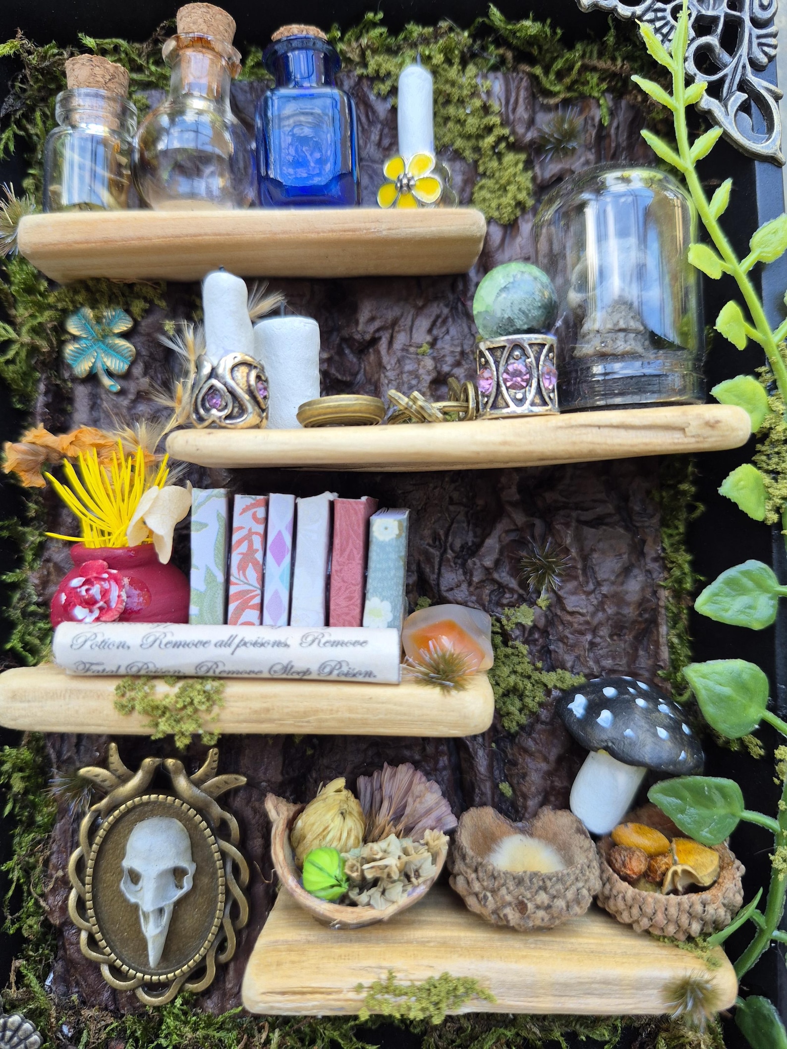 Witchy Potion Shelf Shadowbox Miniature Apothecary Bookcase Wizard ...