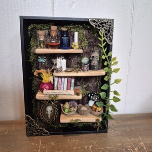 Fairy Bookcase Shadowbox - Ooak Fantasy Miniature Dollhouse Unique ...