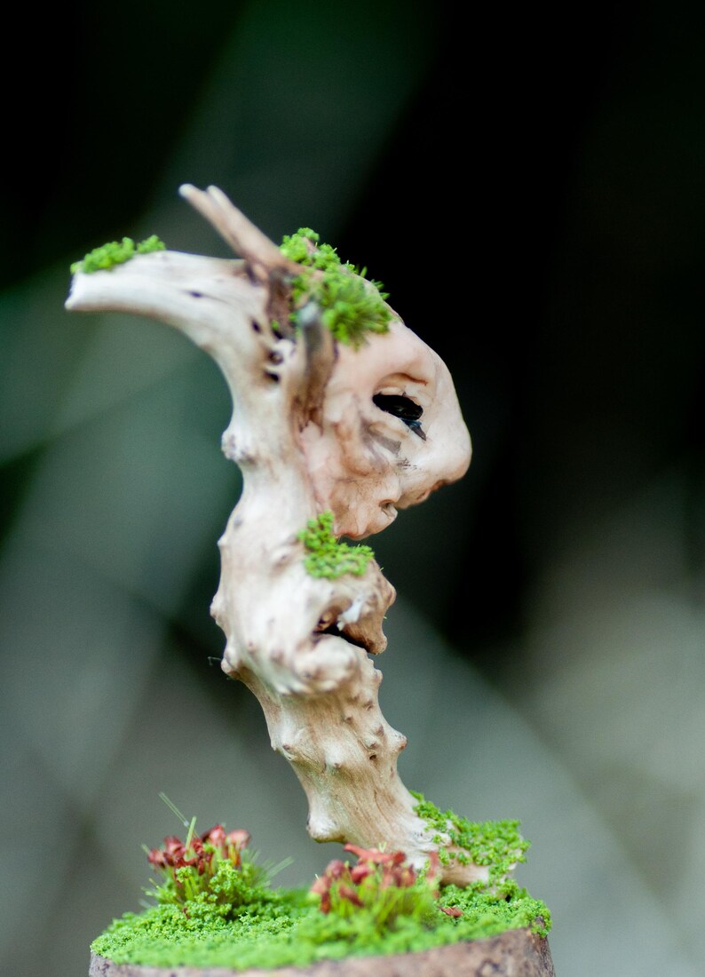 Tree Spirit - Living Tree Creature - Forest Guardian Enchanted Forest ...