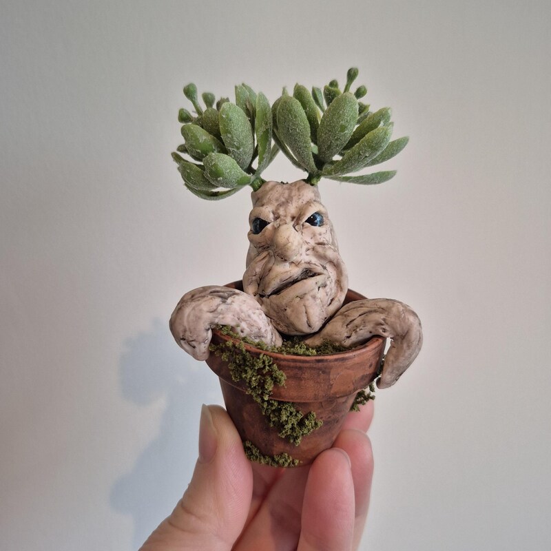 Mandrake Sculpture - Etsy
