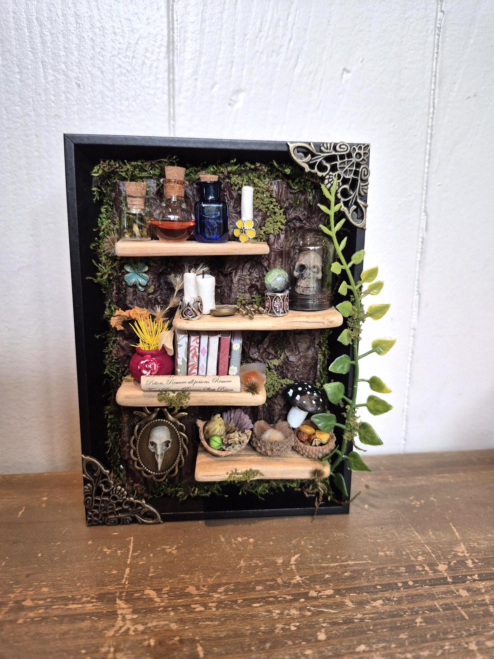 Witchy Potion Shelf Shadowbox Miniature Apothecary Bookcase Wizard ...