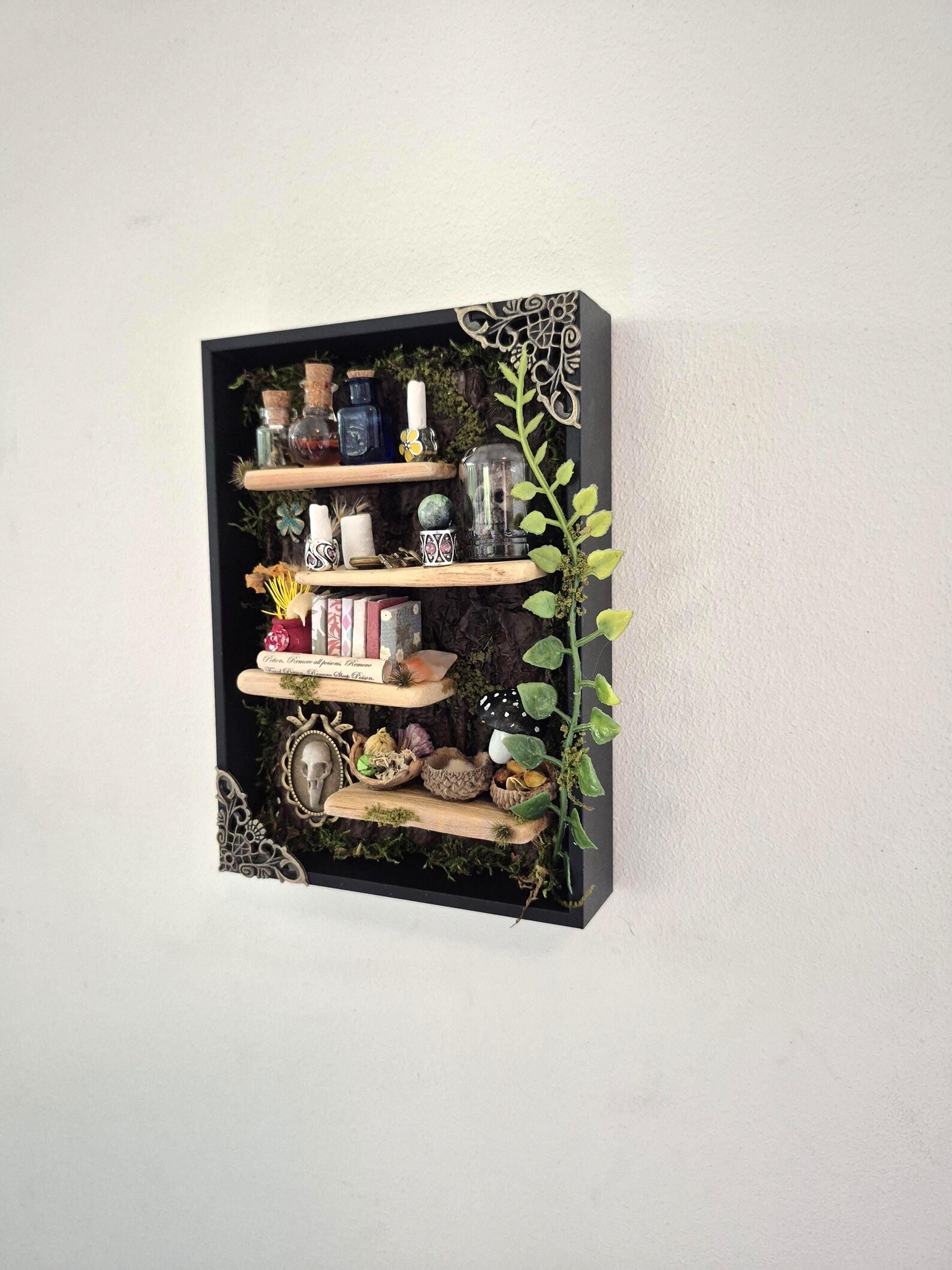 Witchy Potion Shelf Shadowbox Miniature Apothecary Bookcase Wizard ...