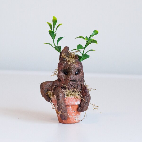 Mandrake Sculpture - Etsy