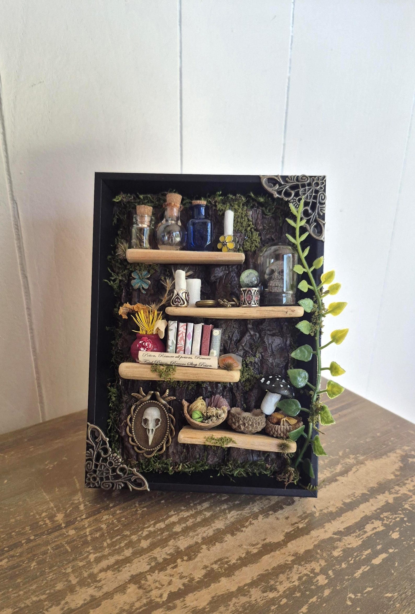 Witchy Potion Shelf Shadowbox Miniature Apothecary Bookcase Wizard ...