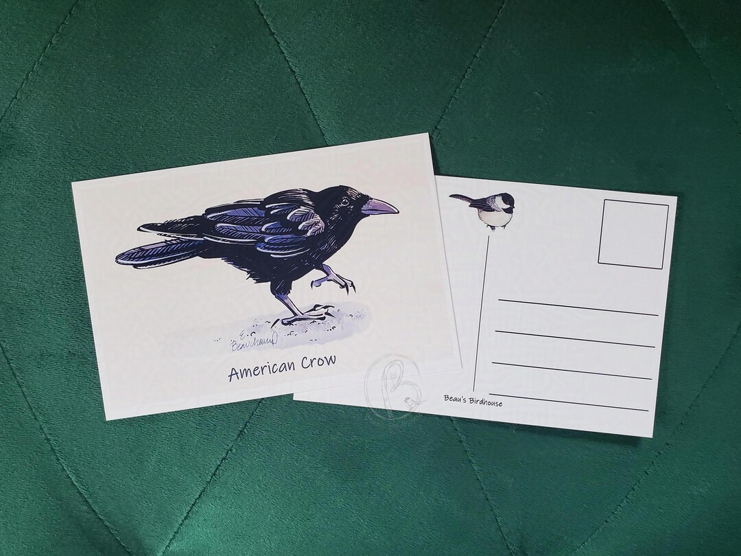 American Crow Postcard || Birds of Maine: Winter || 4x6" Artwork ...