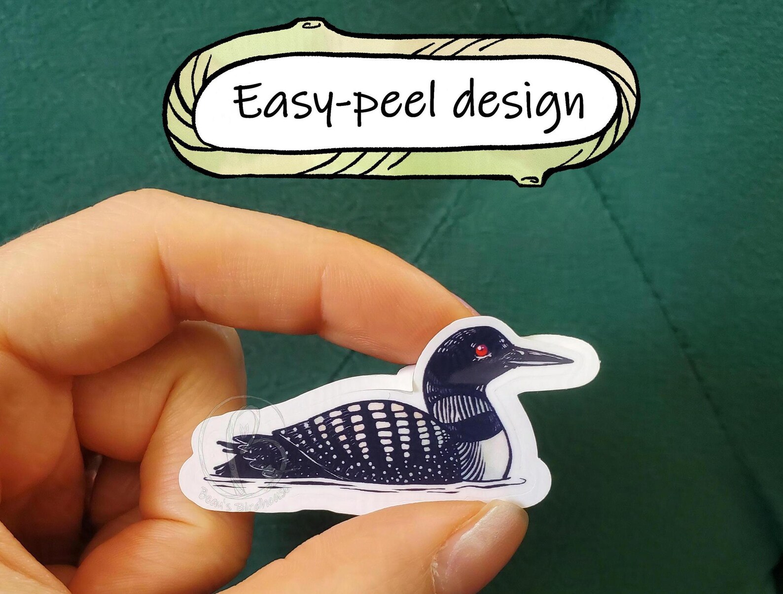 Birds of Maine: Winter Die Cut 2" Stickers || Bird Sticker Pack of 10 ...