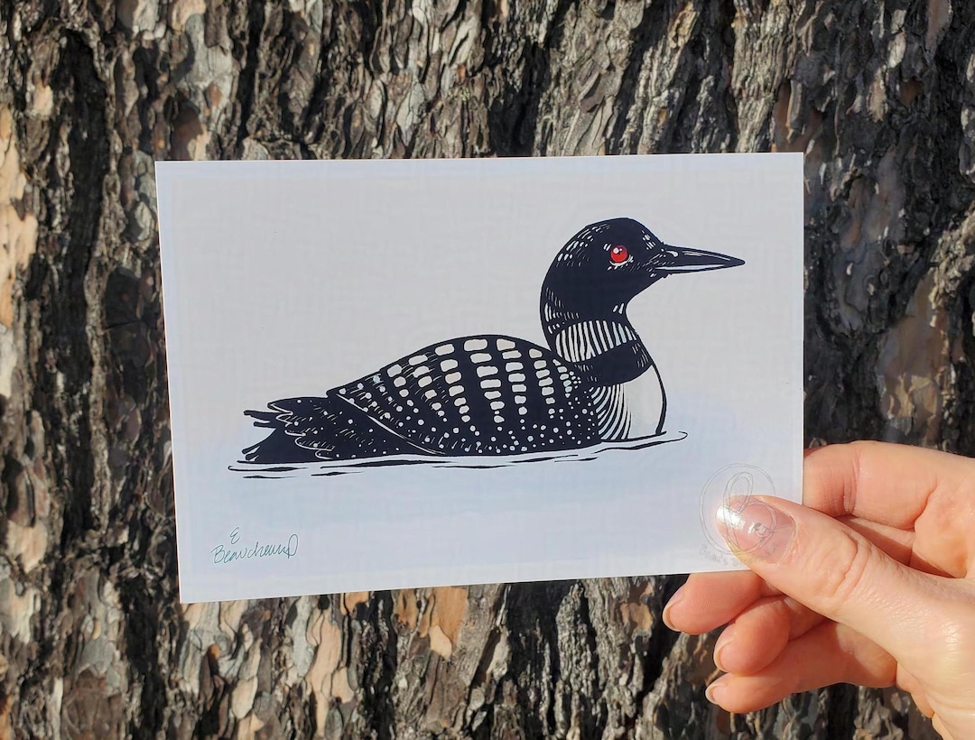 Common Loon 4x6 Art Print || Birds of Maine: Winter || Maine-made Wall ...