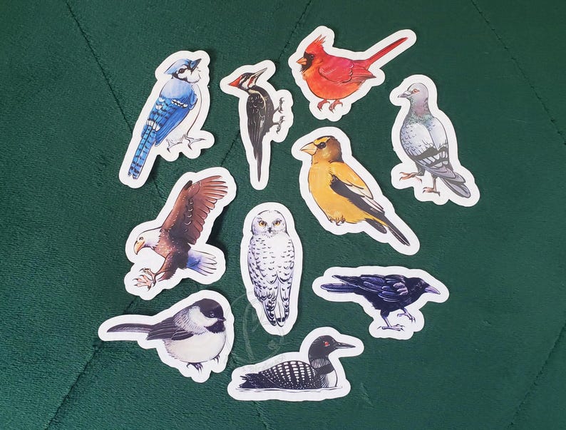Birds of Maine: Winter Die Cut 2" Stickers || Bird Sticker Pack of 10 ...