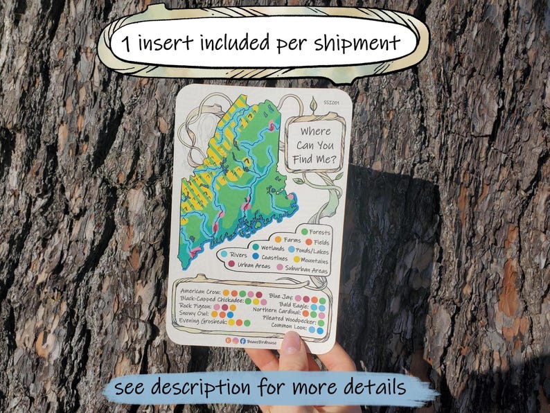 Birds of Maine: Winter Die Cut 2" Stickers || Bird Sticker Pack of 10 ...