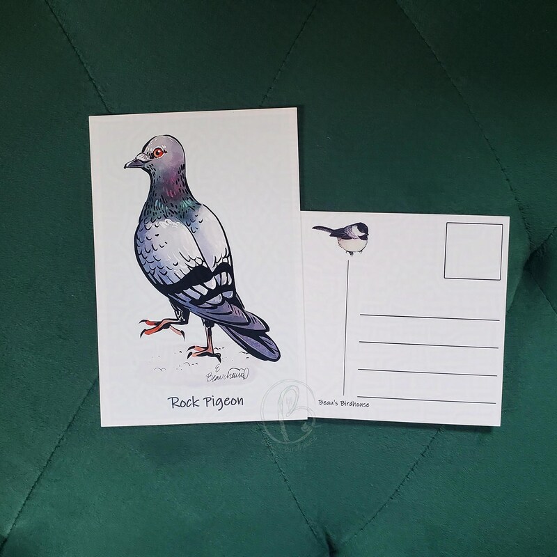 Pigeon Postcards - Etsy