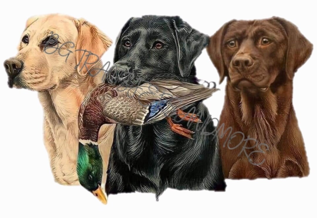 Labrador Retriever and Duck Digital Download - Etsy