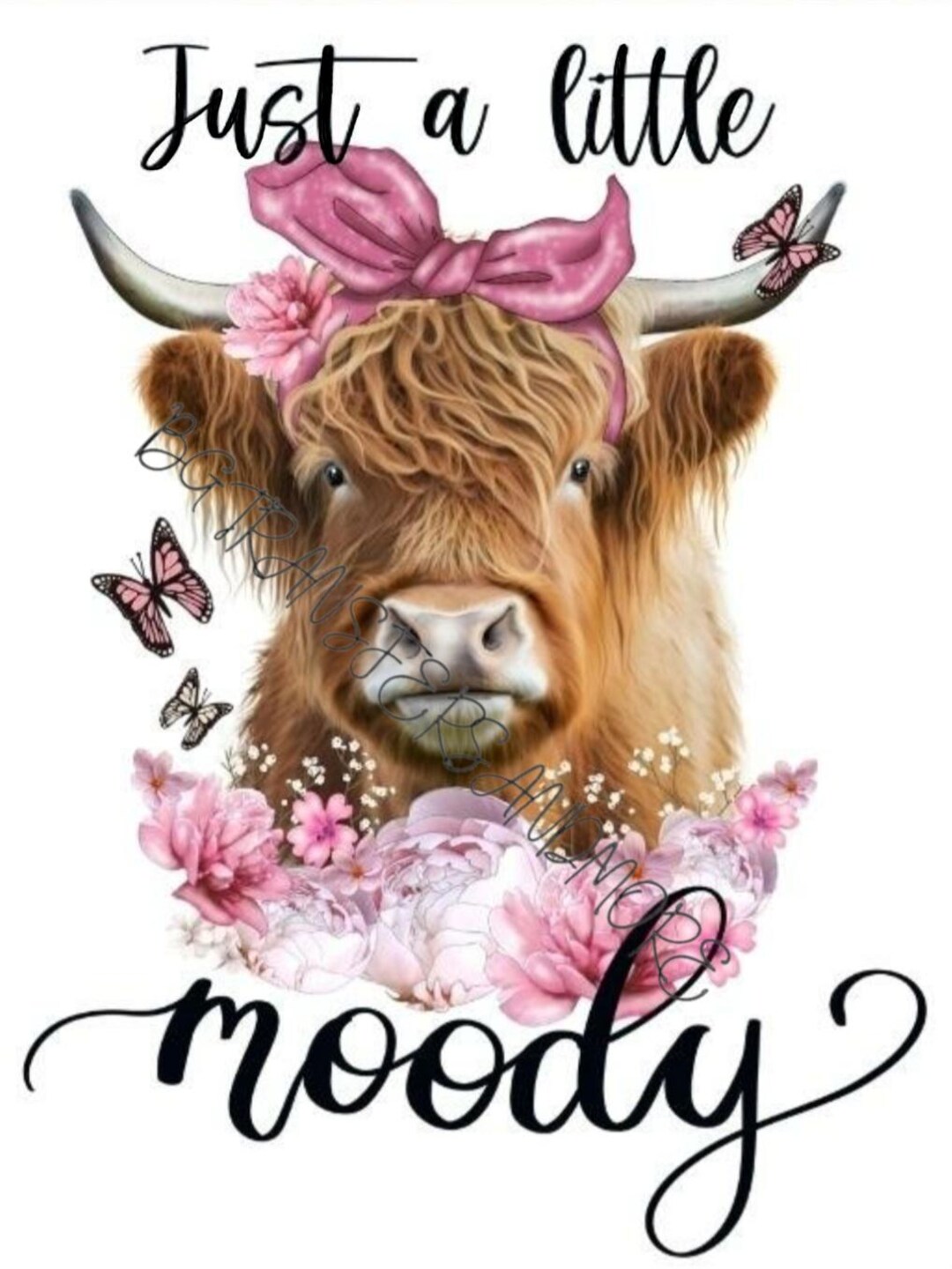 Highland Cow Sublimation Ready to Press Heat Transfer. - Etsy
