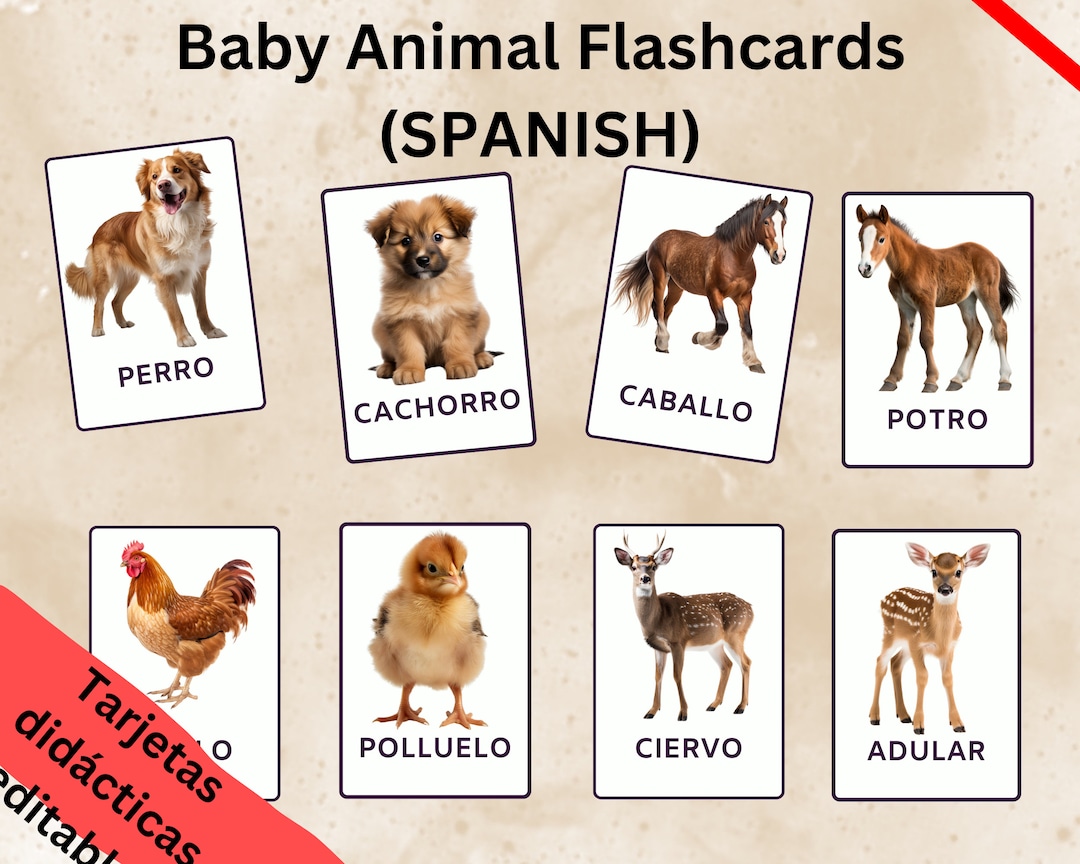 BABY ANIMALSPANISH Flashcards 24 Editable Montessori Cards - Etsy