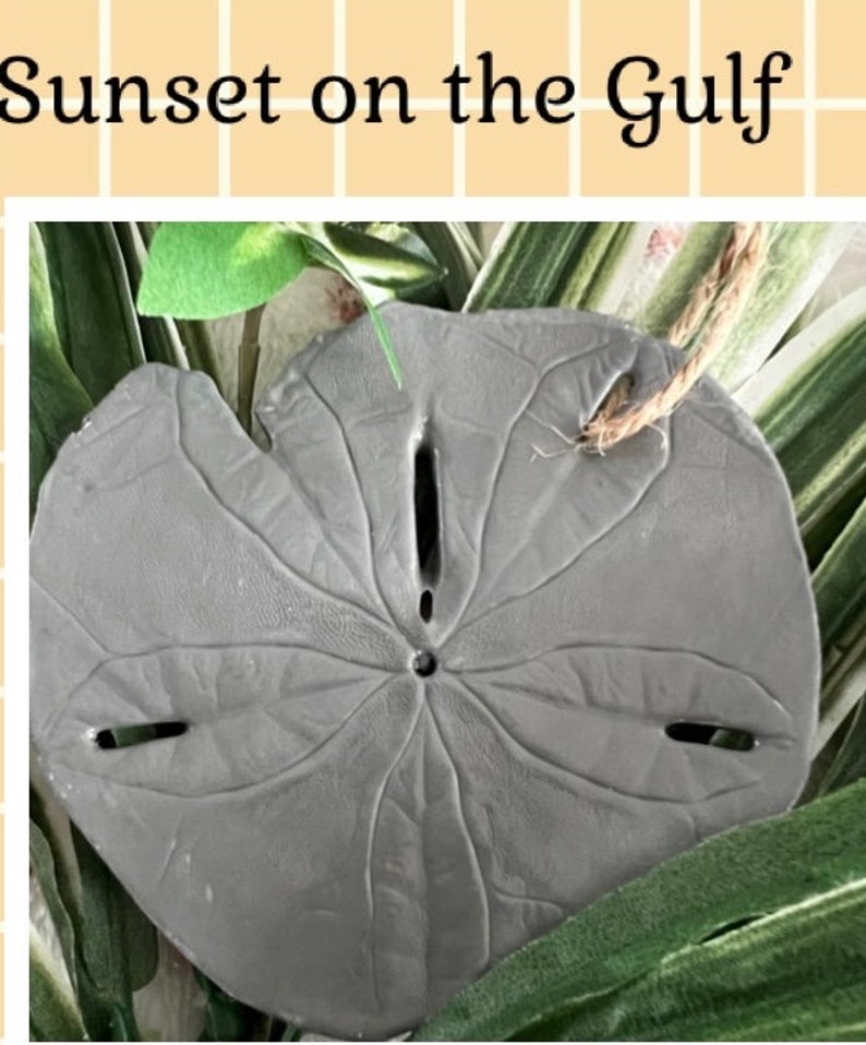 Hand Painted Sand Dollar - Etsy