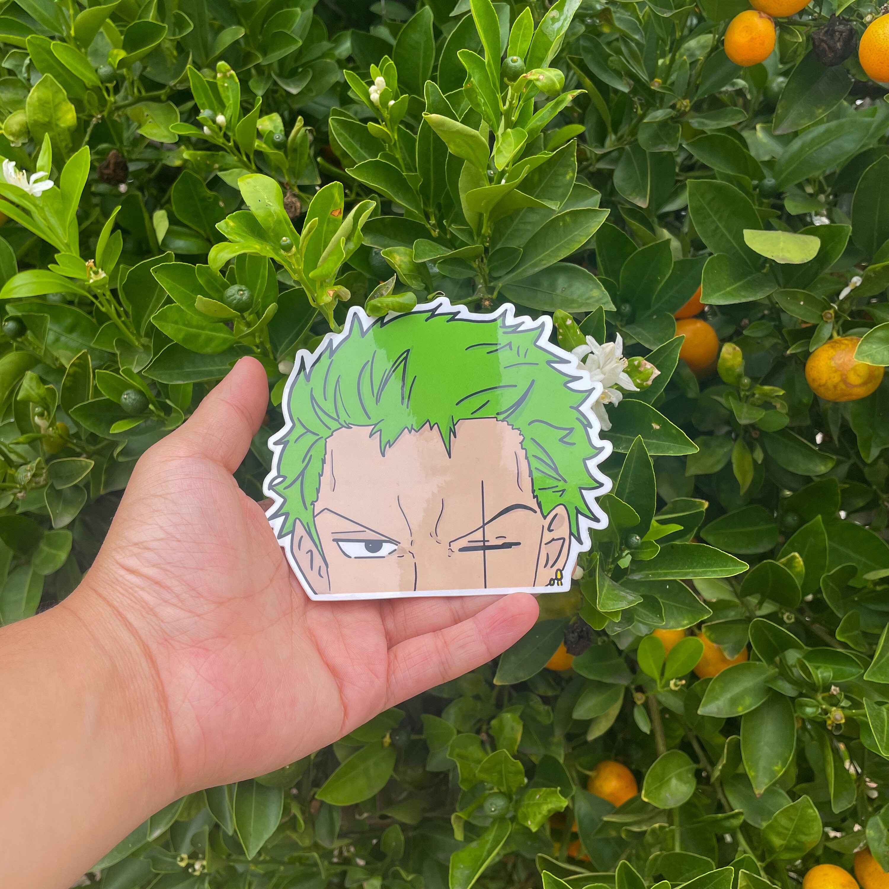 Roronoa Zoro Inspired Peeker Sticker - Etsy