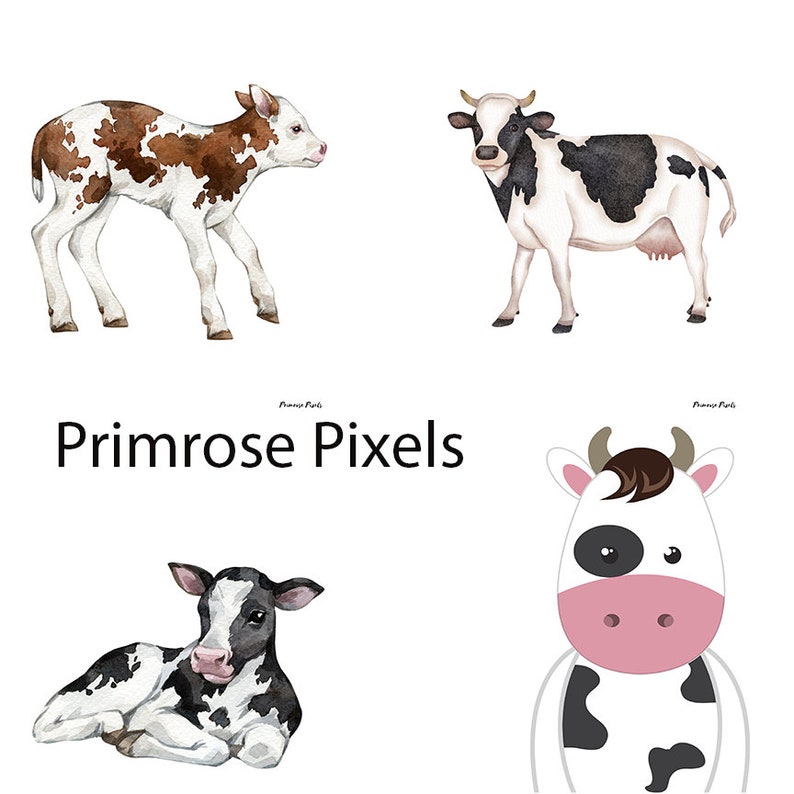 25 Digital Images of Different Cows Designs Cutesy and More - Etsy
