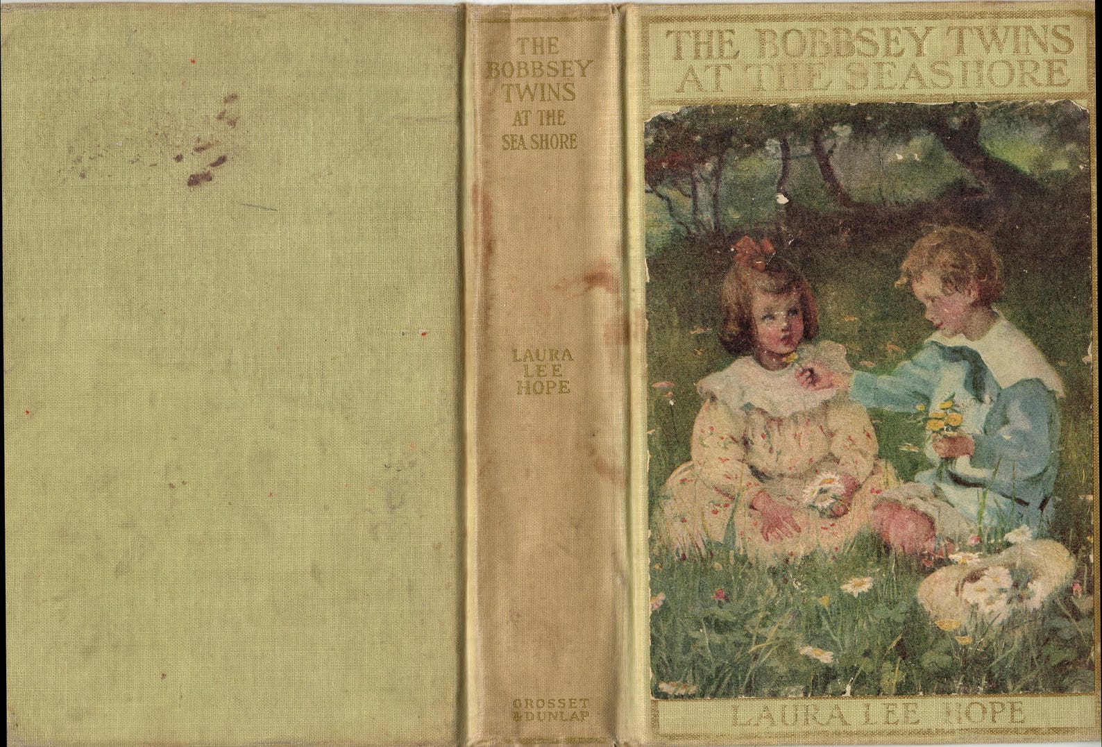 Digital Scanned Images of Book Covers and Book Pages, Bobbsey Twins ...