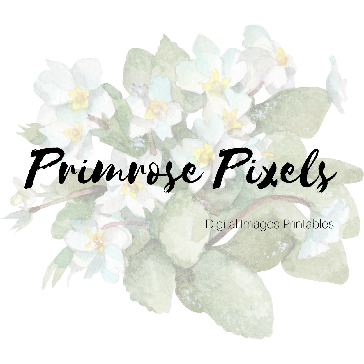 27 Digital Images of Different Floral Designs - Etsy