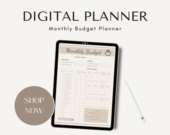 2024 Monthly Budget Tracker (digital Budget Planner) | Custom 2024 ...
