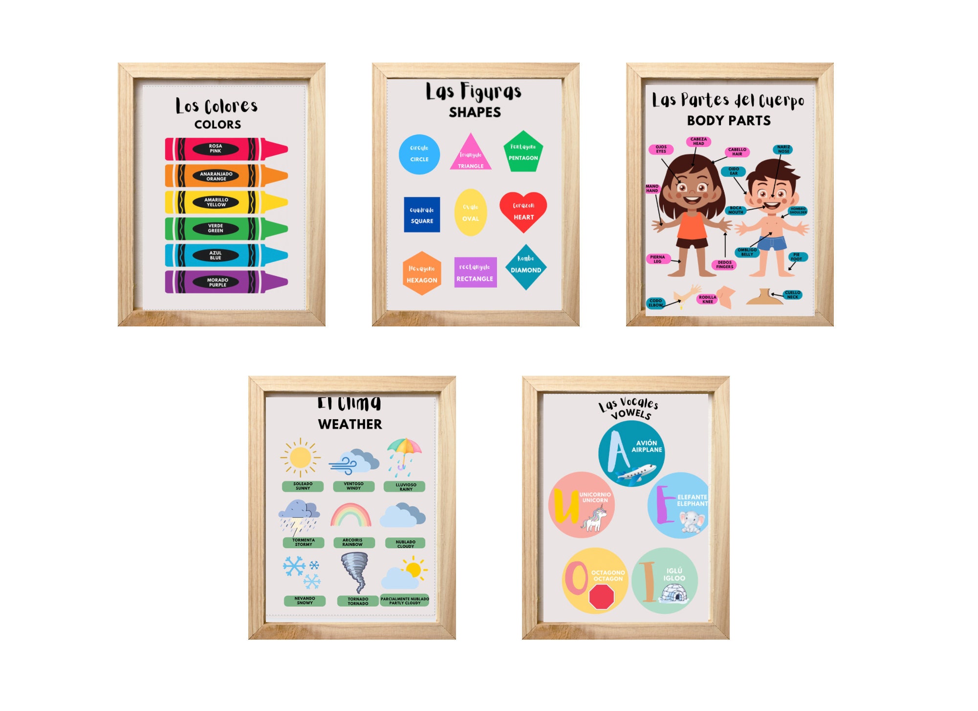 Set of 5 Bilingual Educational Posters - Etsy