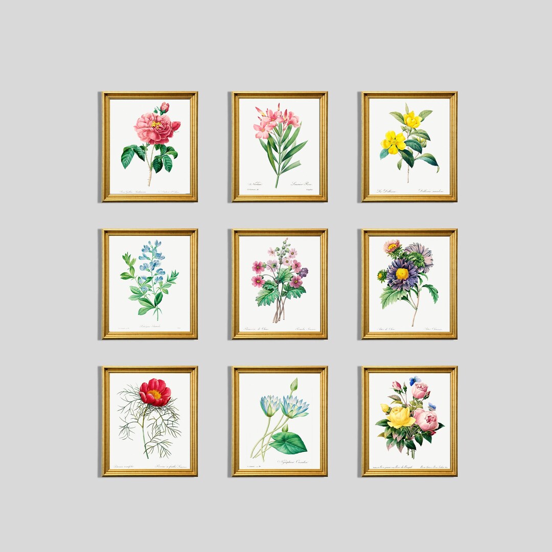 Vintage 9PC Flower Wall Art Bundle Printable Digital Wall Art 9PC Set ...