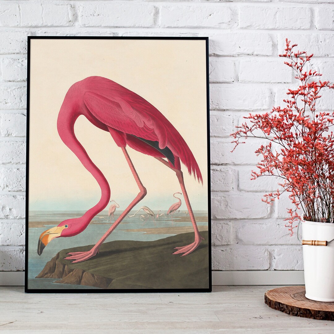 Vintage Pink Flamingo Poster | Printable Digital Wall Art | Pink ...