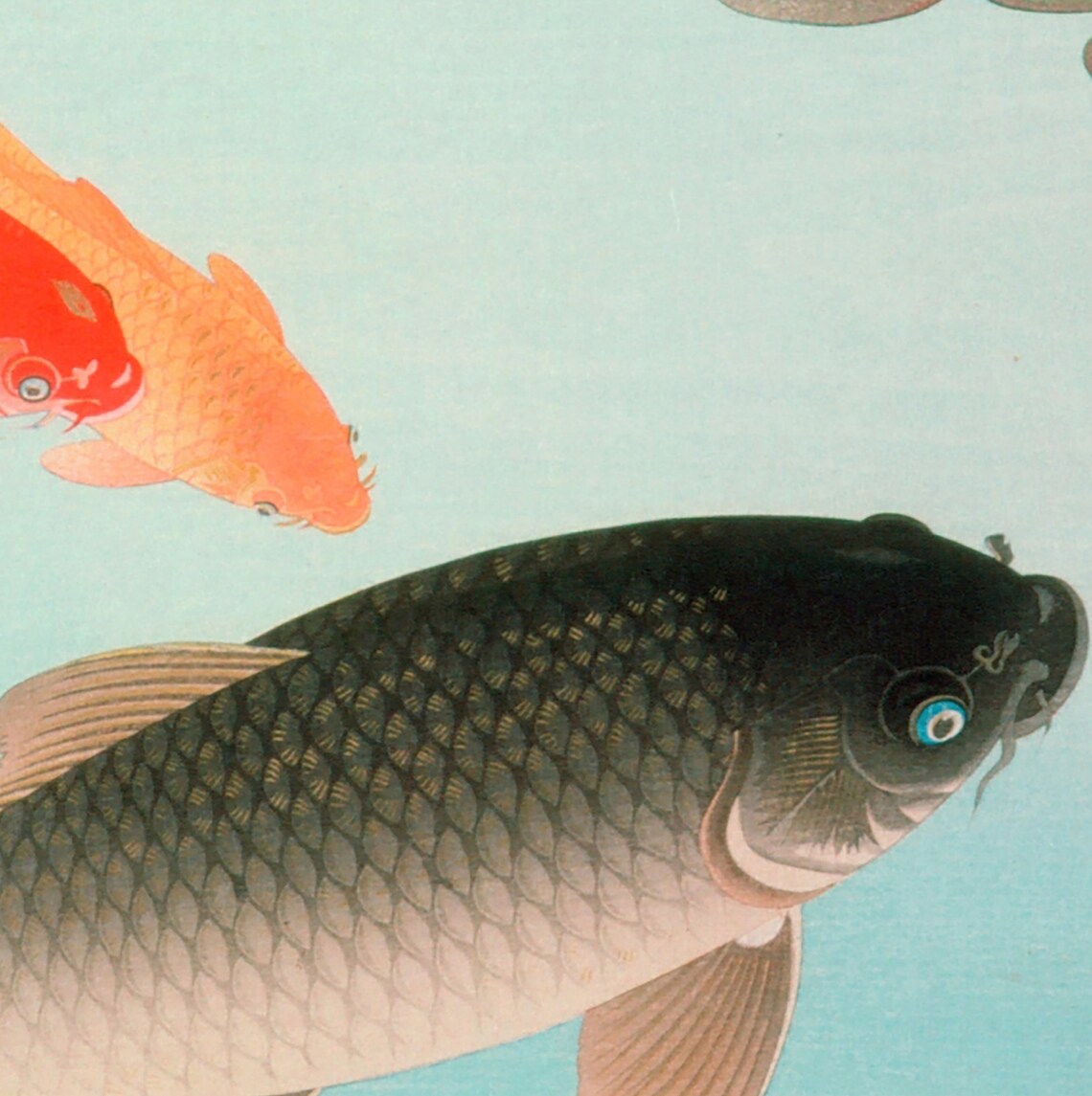 Vintage Coastal Fish Poster | Colorful Fish Wall Art | Printable Poster ...