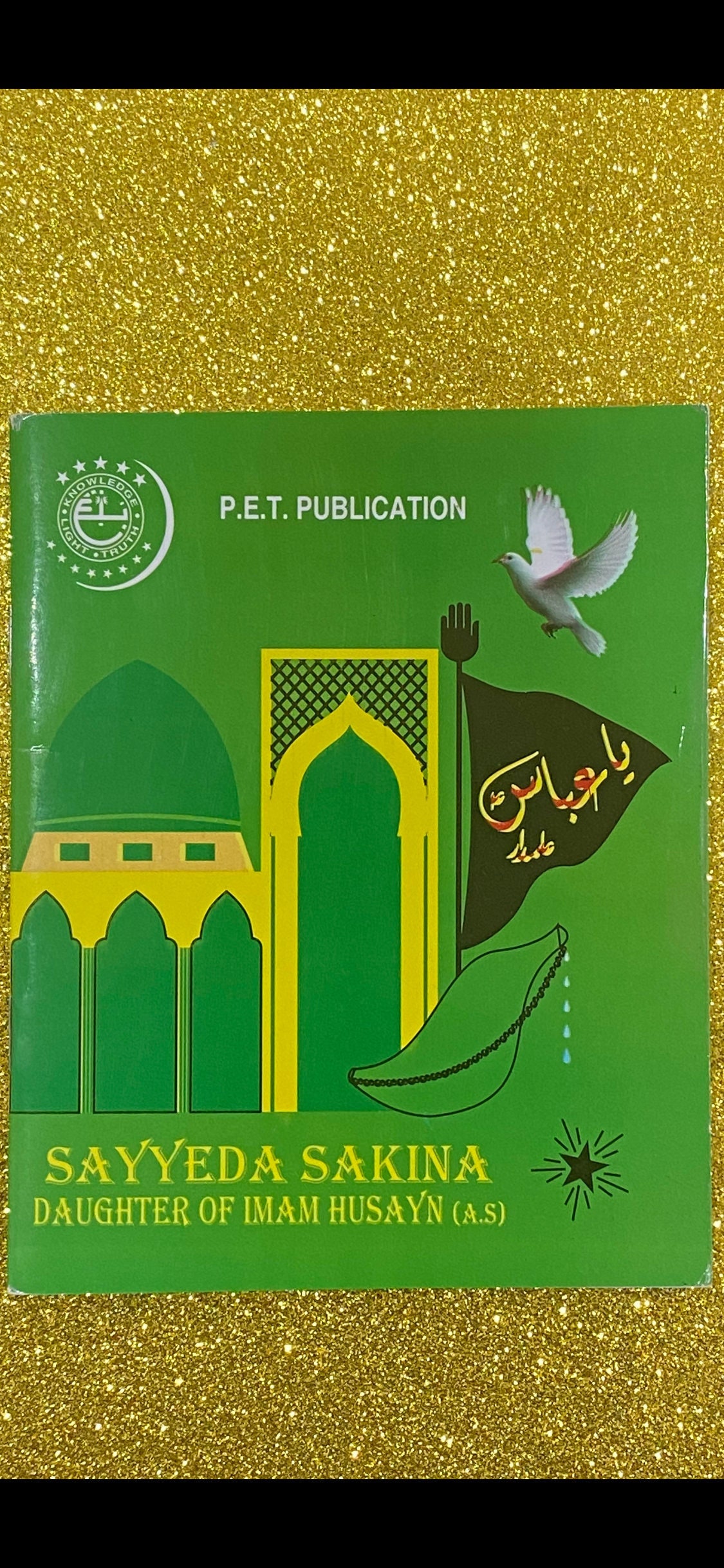 Children's Bibi Sakina S.A Book Islamic Book Shia - Etsy