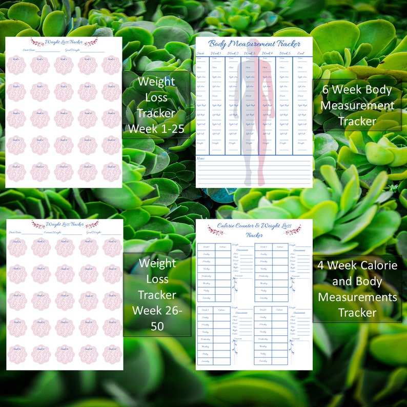 Pink and Navy Floral Health and Fitness Package, Weight Loss Tracking ...