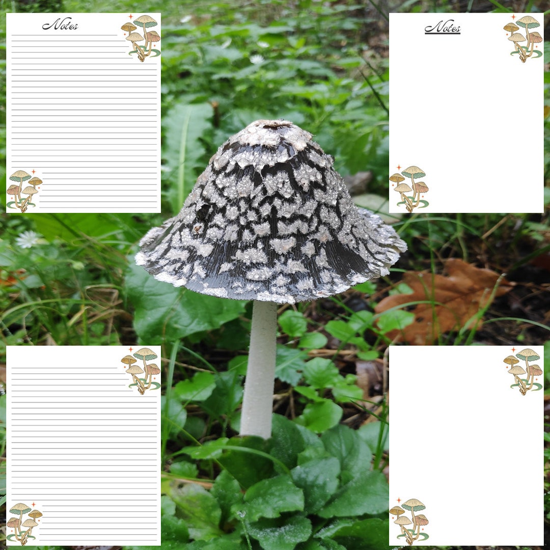 Corner Mushroom Design Note Paper, Lined and Blank, 4 Sizes, 15 Colors ...