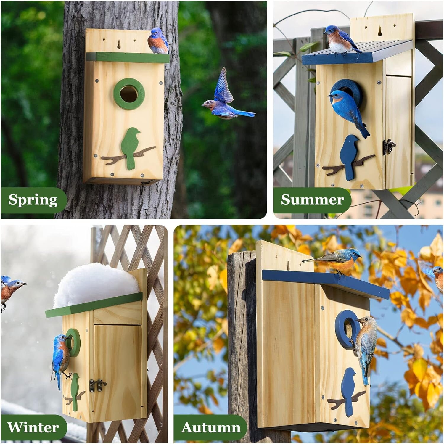 Bluebird Wren Chickadee Viewing House With Predator Guard Wooden ...