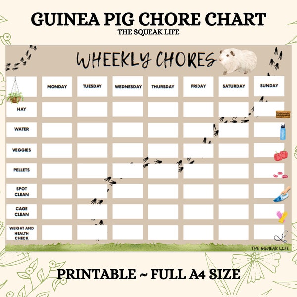 Chore Chart Guinea Pig - Etsy