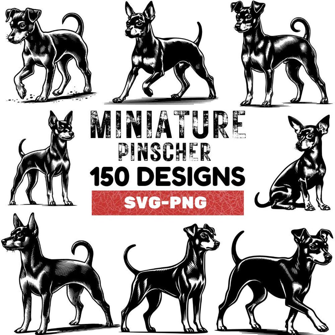 Miniature Pinscher SVG Bundle | 150 Min Pin Dog Designs | Puppy Clipart ...