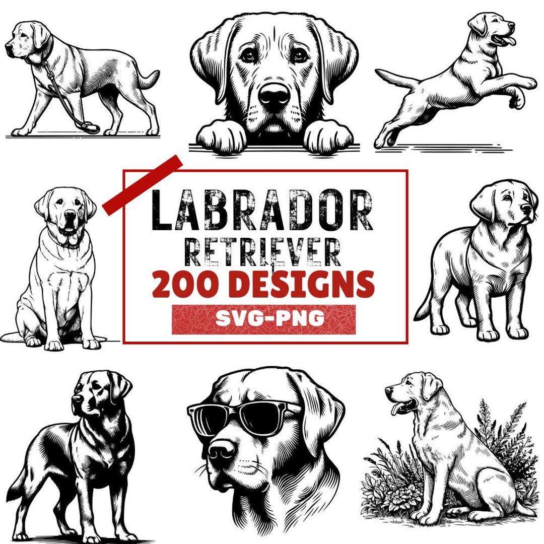 Labrador Retriever Clipart Bundle: 200 Dog Designs (PNG SVG) - Etsy