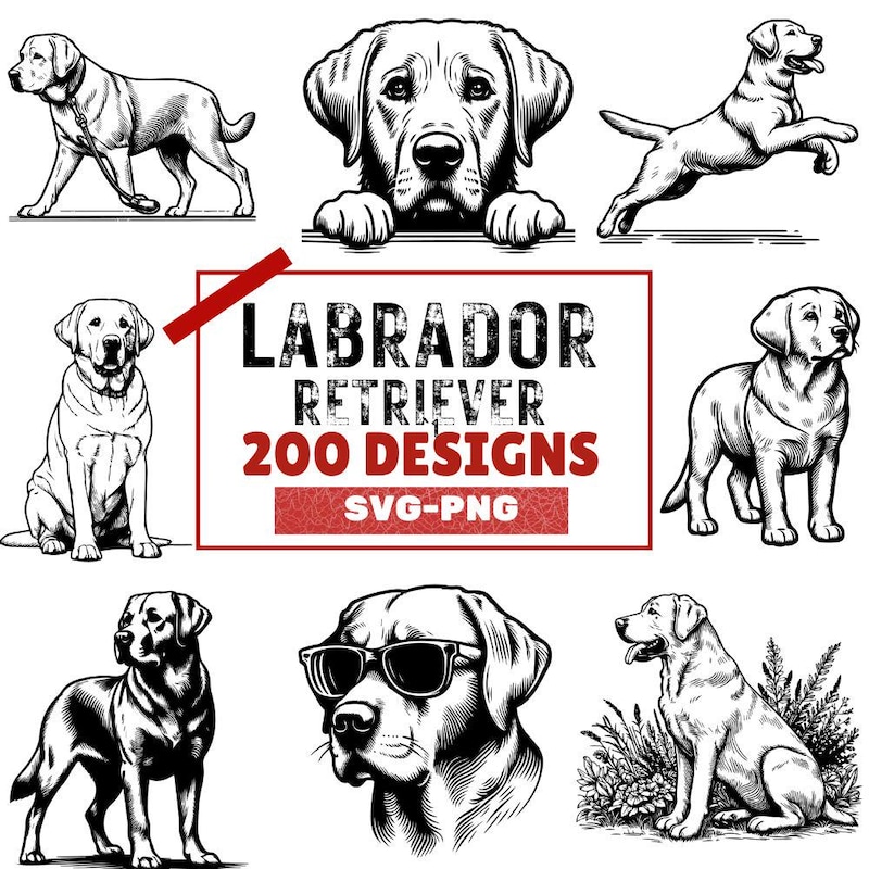 Labrador - Etsy