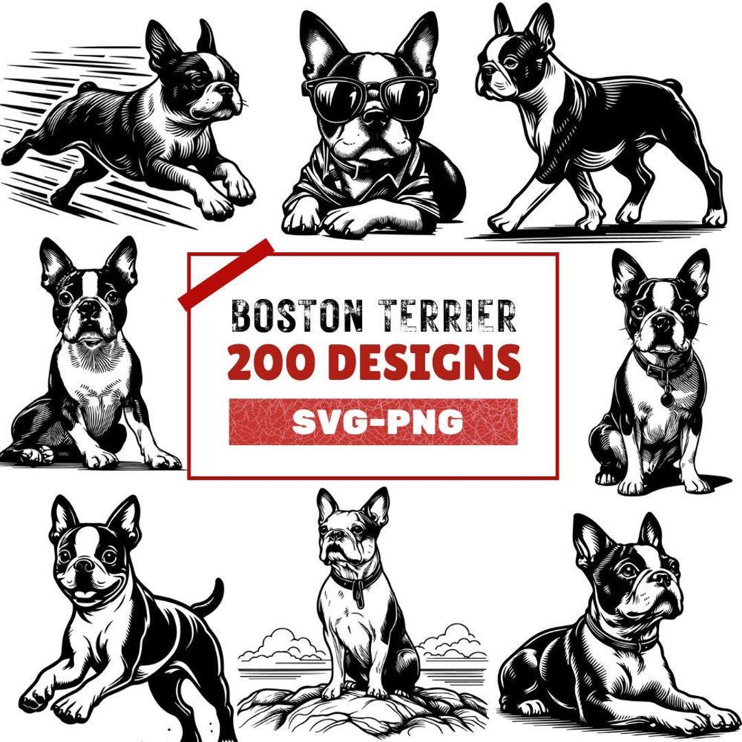 Boston Terrier Designs Bundle | Adorable Boston Terrier Clipart ...
